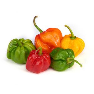 Sundine Produce - Sundine Produce