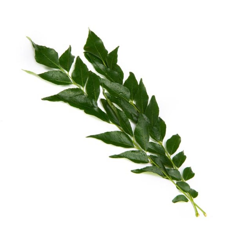 Our Products - Sundine Produce