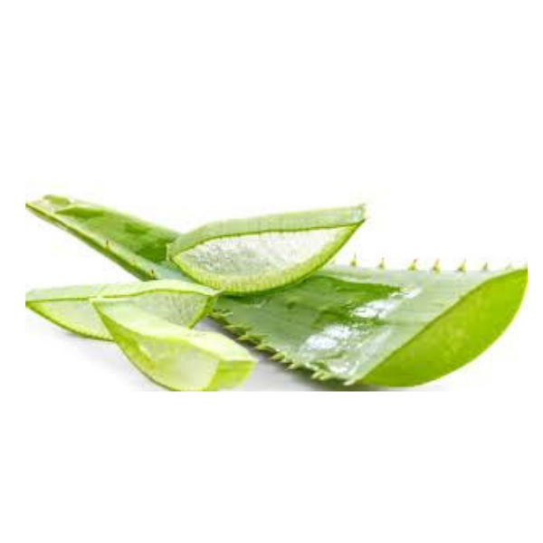 Our Products - Sundine Produce